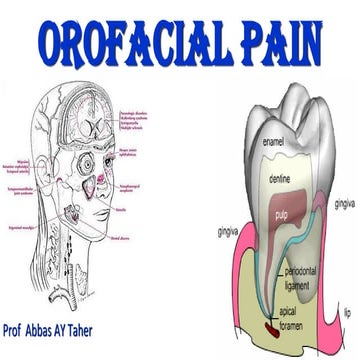 OROFACIAL PAIN--2023.pdf