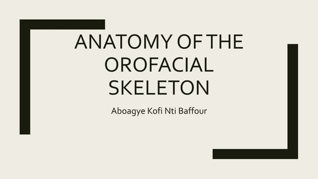anatomy of maxilla oral and maxillofacial surgery topic OMFS | PPTX