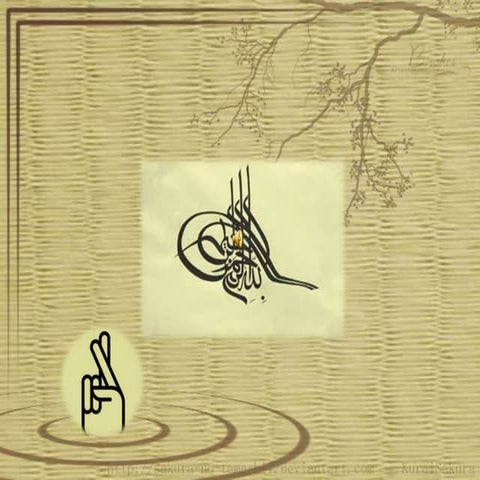 Orphans around world 3-earth | PPTX | Islam | Religion & Spirituality