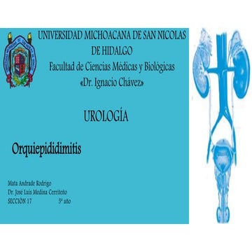 Escala forrest hemorragia digestiva | PDF