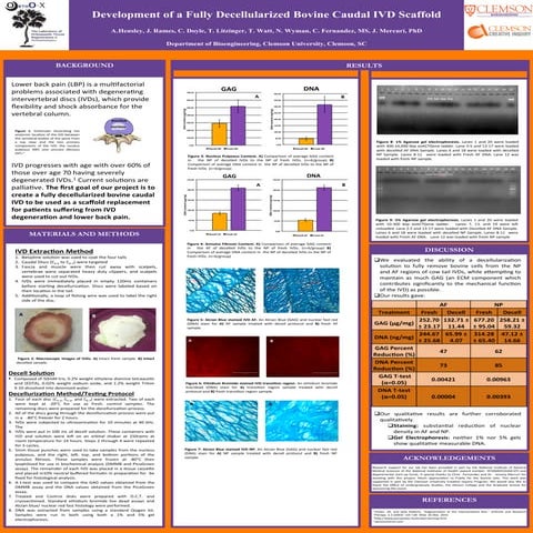 ORS poster 2017 | PDF