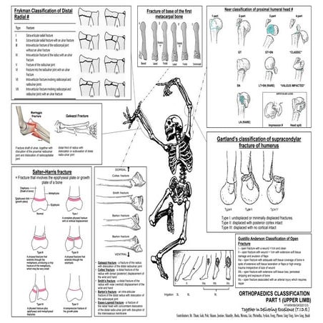 Ortho essentials1 | PDF