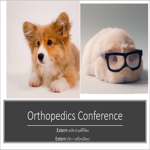 Ortho conference | PDF