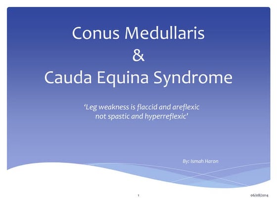 Cauda Equina Syndrome | PPT | Brain and Nervous System Disorders ...