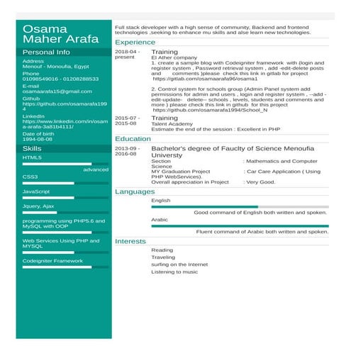 Osama's cv | PDF | Internet | Computing