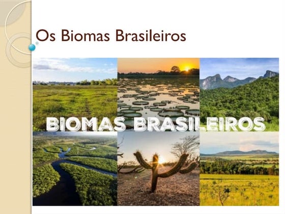 slides sobre biomas brasileiros | PPT