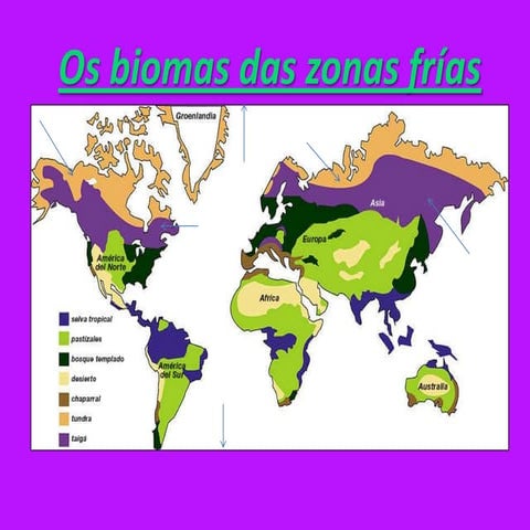 Os biomas das zonas frías | PPTX
