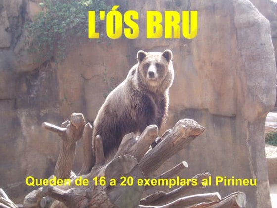 Taller 1 | PPT