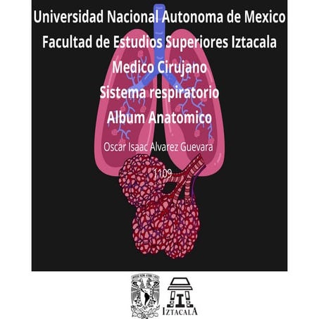Istmo de las fauces | PPTX