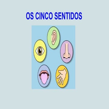 Os cinco sentidos(1) | PDF