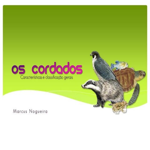Os Cordados - Características e Classificação Gerais | PDF