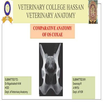 Skeletal structure of the Equine Forelimb | PPTX