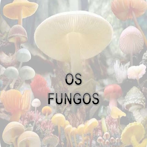 Os fungos | PPTX