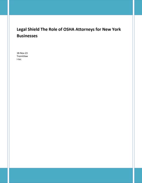 Usha Sorkin, Lawyer at Tremiti llc