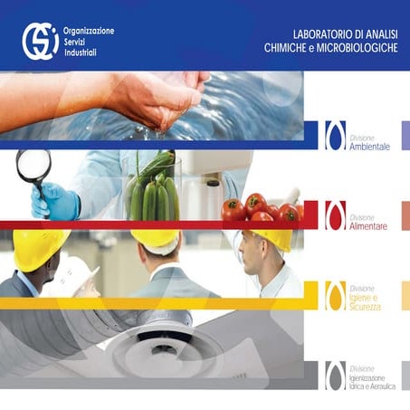 Osi company profile | PDF
