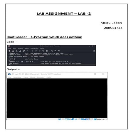 OS Lab-2 Mridul_20BCE1734.pdf