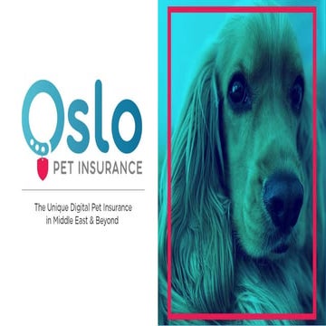 Oslo Pet insurance - Insurer Innovation Award 2024 | PPTX