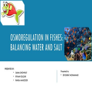 Osmoregulation-in-Fishes-Balancing-Water-and-Salt.pptx