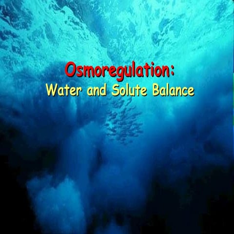 OSMOREGULATION WATER AND SOLUTE BALANCE.ppt