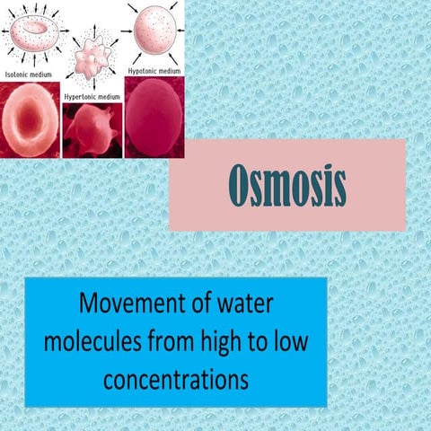 Osmosis | PPT