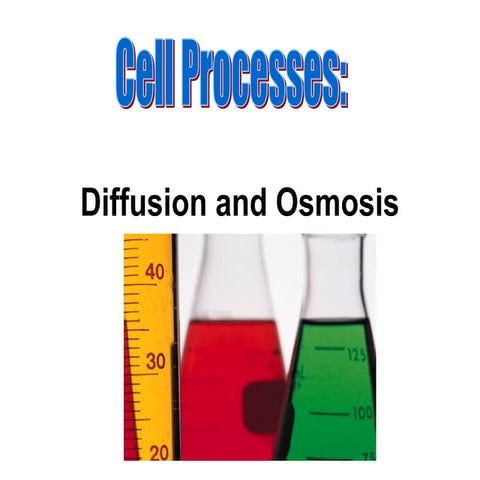Osmosis | PPT | Chemistry | Science