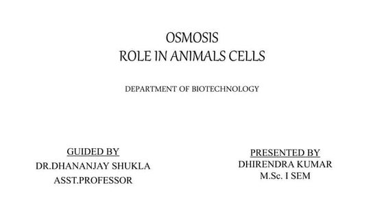OSMOSIS | PDF