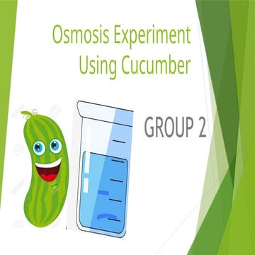 Osmosis In Red Onion Cells | PDF