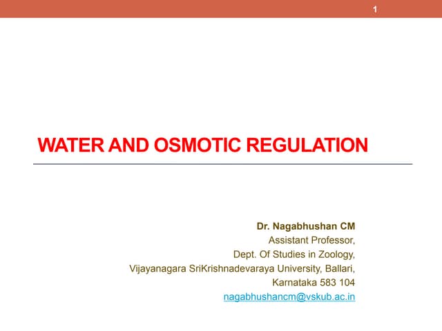Osmoregulation in Fishes and Birds | PPTX