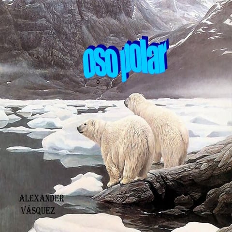 Oso Polar | PPT