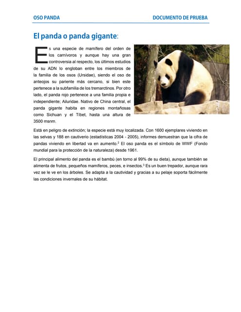 El oso panda | DOCX