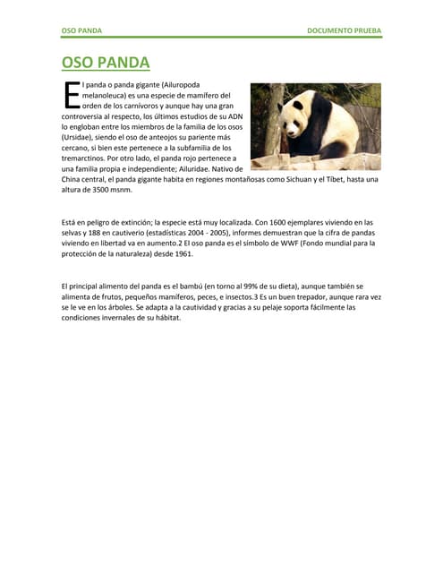 El oso panda | PDF