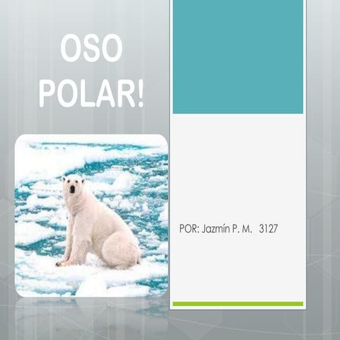Oso polar! | PPTX