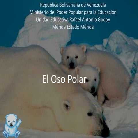 Oso polar diana mejias | PPTX