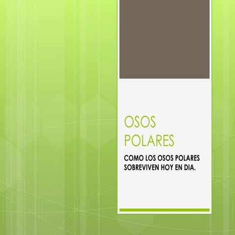 Los osos | PPTX