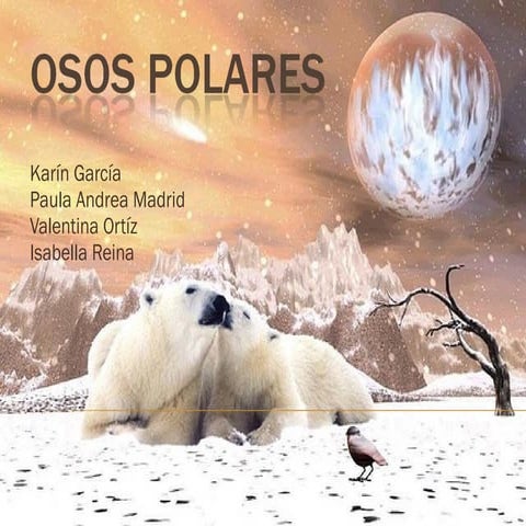 Osos Polares Trabajo Final | PPT