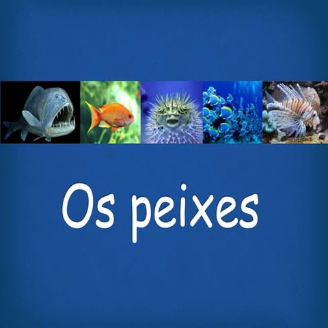 BIOLOGIA: Os peixes (COMPLETO) | PPTX