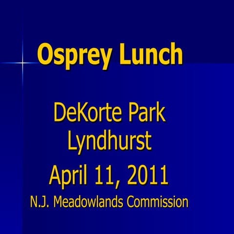 Osprey lunch | PPT
