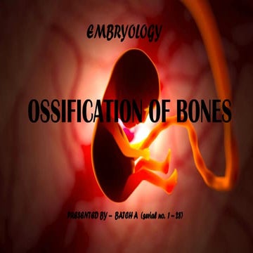 Ossification of bones (Batch A).pptx and bone | PPTX