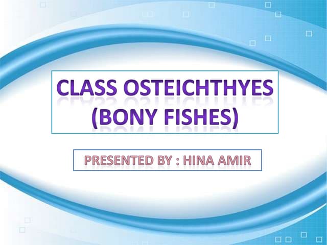 Fish classification | PPTX