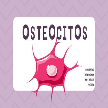 Osteocitos: Células óseas maduras que mantienen el hueso | PPT