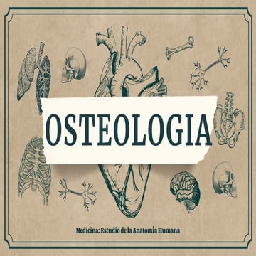 Osteología, ¿qué es y para que sirve? y la clasificacion de los huesos ...