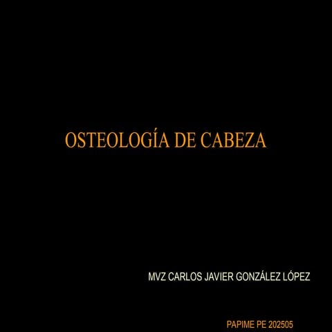 OSTEOLOGIA DE CABEZA BOVINO VETERINARIA.ppt