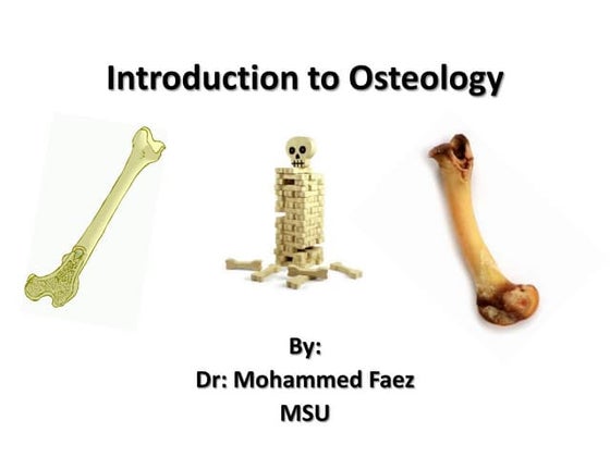 Arthrology | PPT
