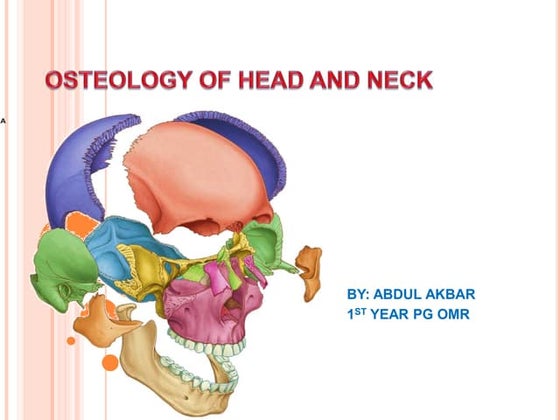 anatomy of human skull | PPT