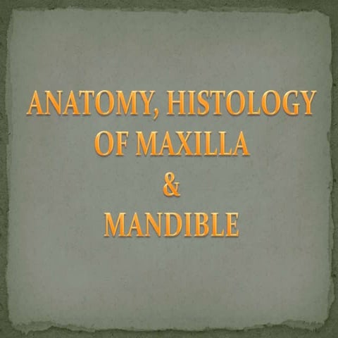 Osteology and mucose membrane of maxi & mandible | PPTX