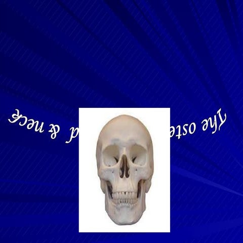Osteology of head and face | PPT