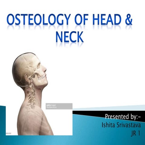 Head And Neck Anatomy Ppt