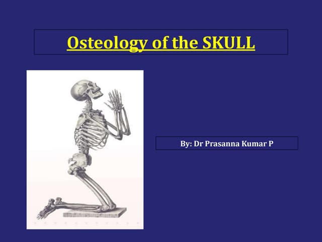 Anatomy of Skull | PPTX