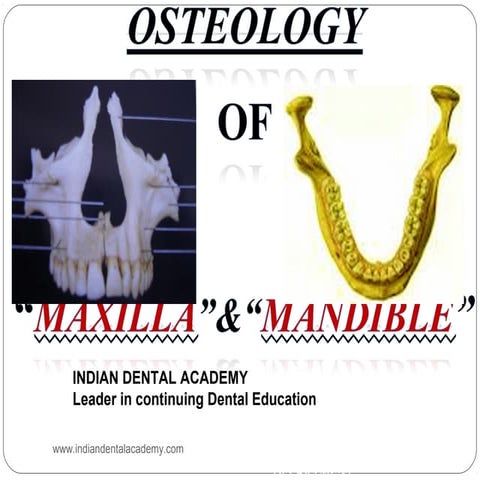 Osteology of max n mand/prosthodontic courses | PPT