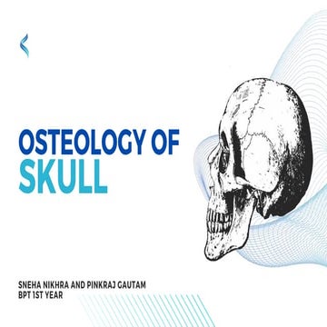 Osteology of Skull | Anatomy of Skull | PPTX